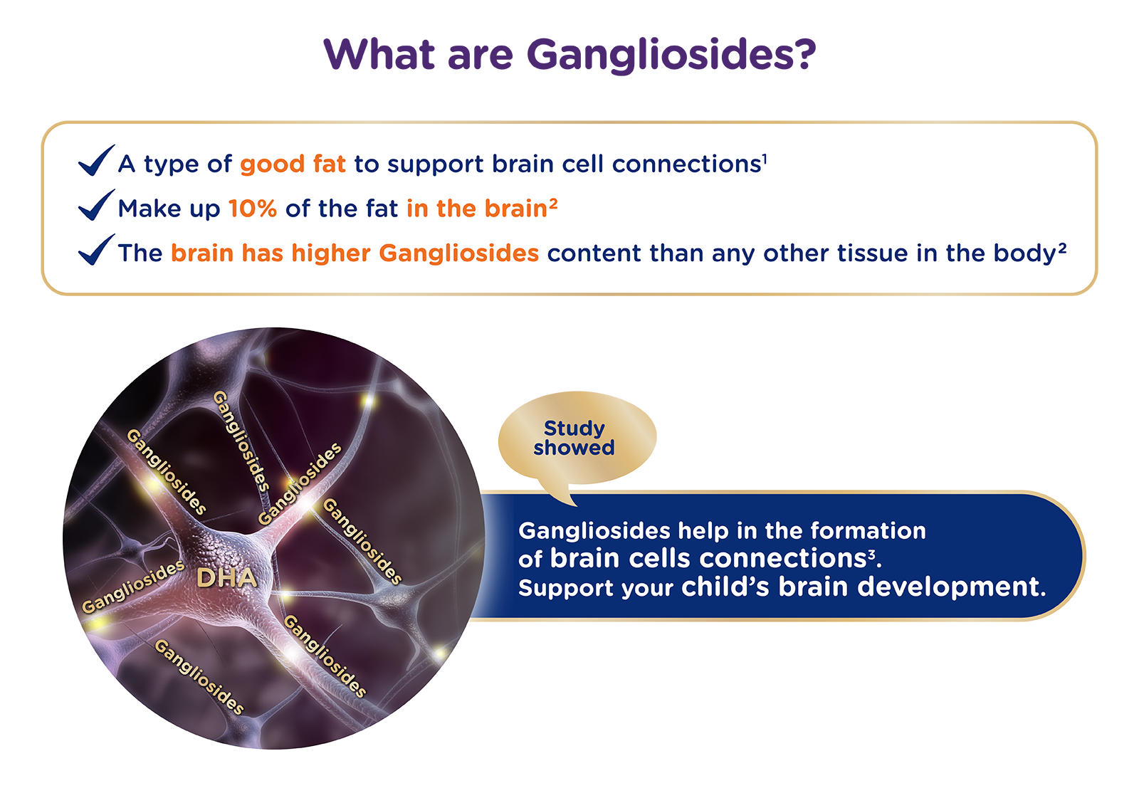 What are Gangliosides? | Anmum™ Malaysia